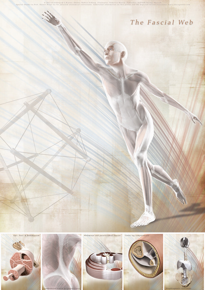 Fascia Poster 2 - Download – FASCIALNET.COM
